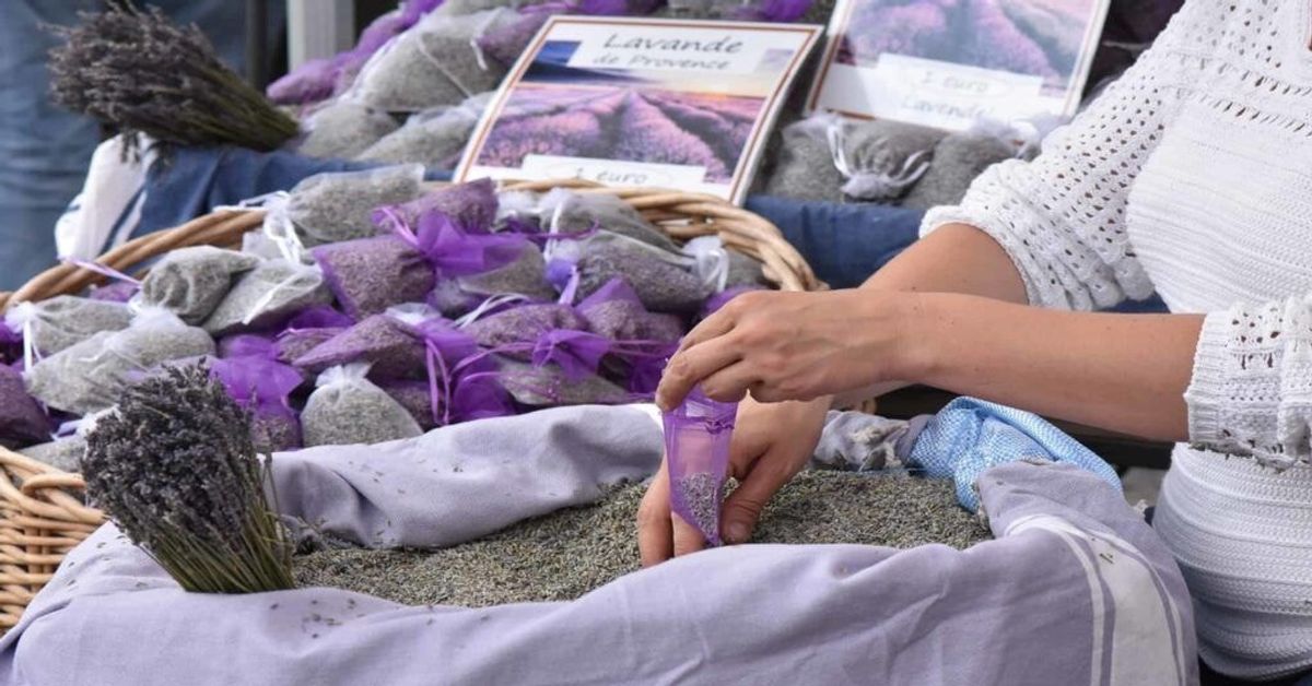 Levandų arbata gydo nemigą ir stabdo migreną. Išmėginkite!